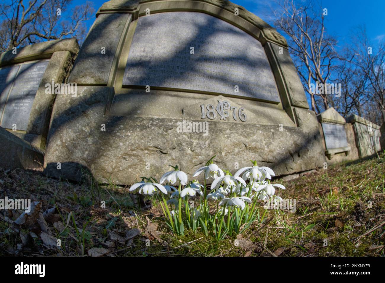 St Machar's Cathedral Graveyard, Old Aberdeen, Scotland, UK Stock Photo ...