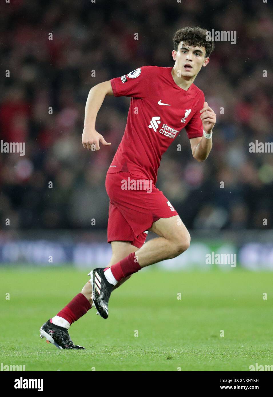 Stefan bajcetic soccer hi-res stock photography and images - Alamy