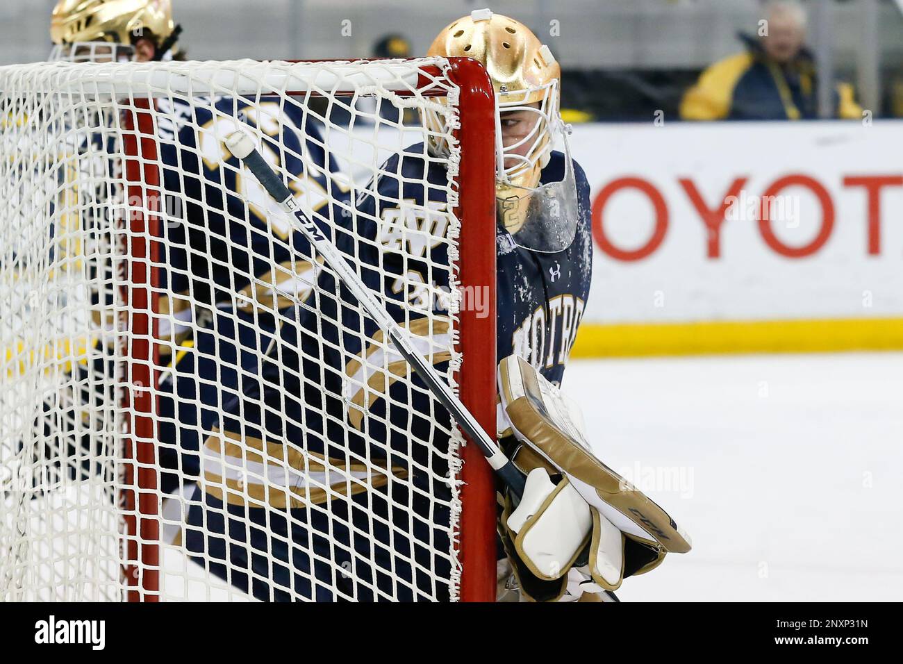 ANN ARBOR, MI - JANUARY 05: Notre Dame Fighting Irish goalie Cale ...