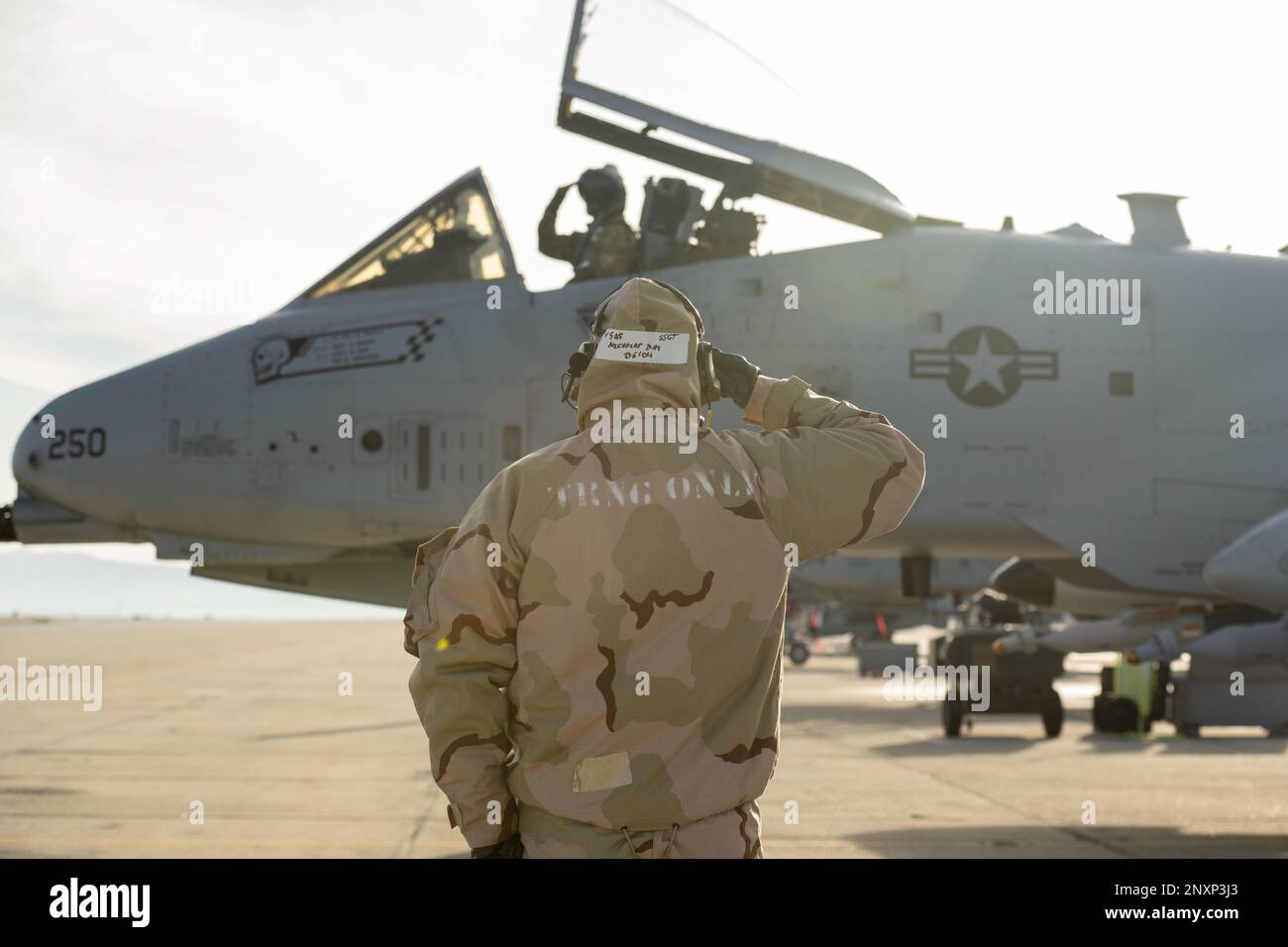 Mopp levels hi-res stock photography and images - Alamy