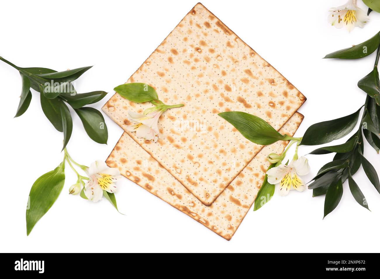 Composition with Jewish flatbread matza for Passover, alstroemeria ...