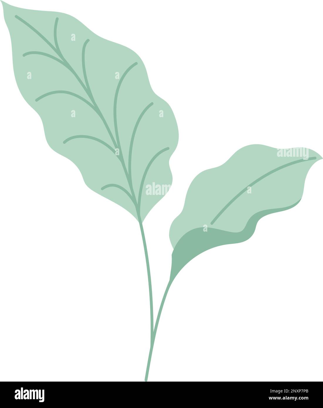 cute leaves icon Stock Vector Image & Art - Alamy