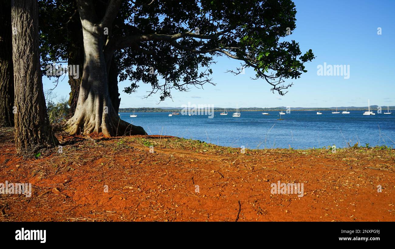 View past trees growing by the waters edge at Redland Bay to boats in ...