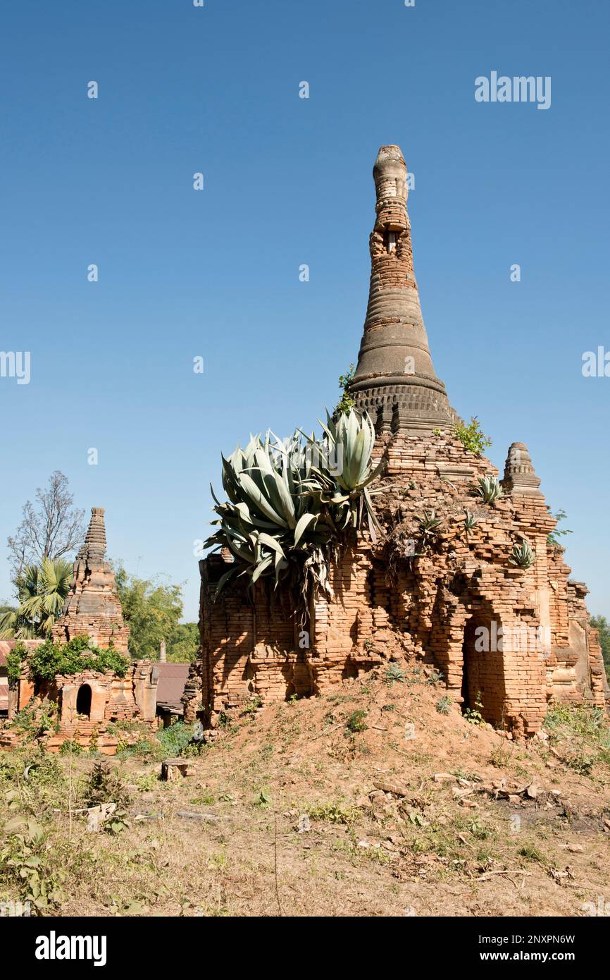 Myanmar, Inle lake, Inlay Shwe Inn Tain pagoda Stock Photo - Alamy