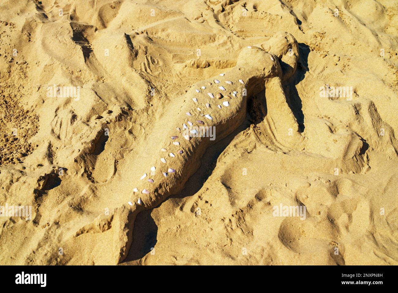 Mermaid made of sand and shells on the beach Stock Photo - Alamy