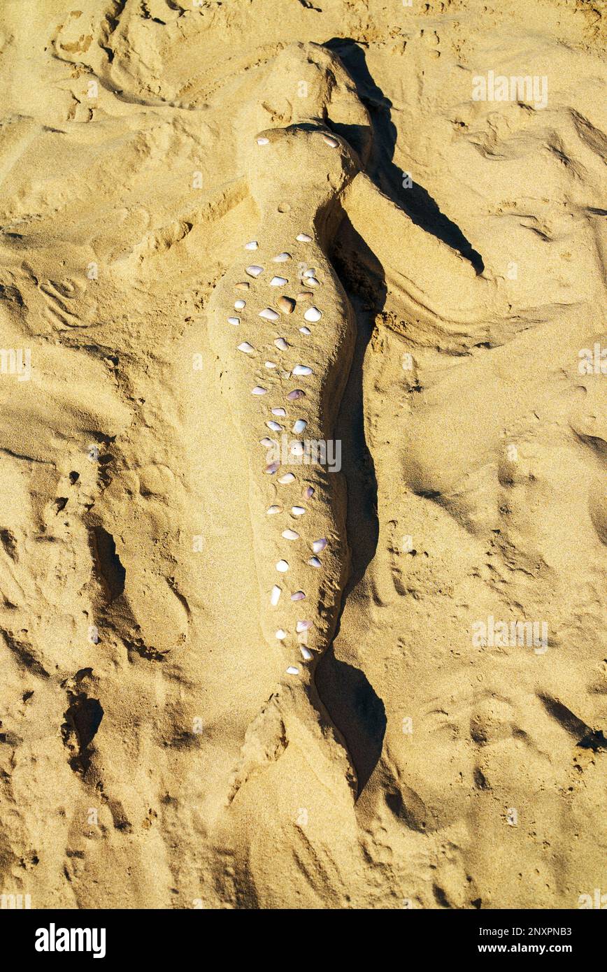 Mermaid made of sand and shells on the beach Stock Photo - Alamy