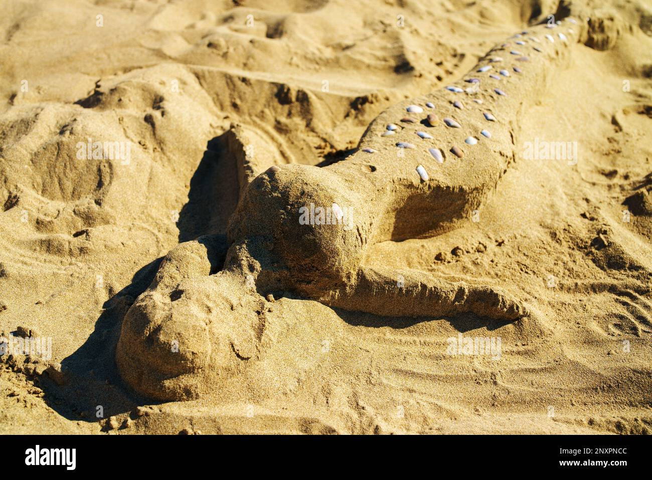 Mermaid made of sand and shells on the beach Stock Photo - Alamy