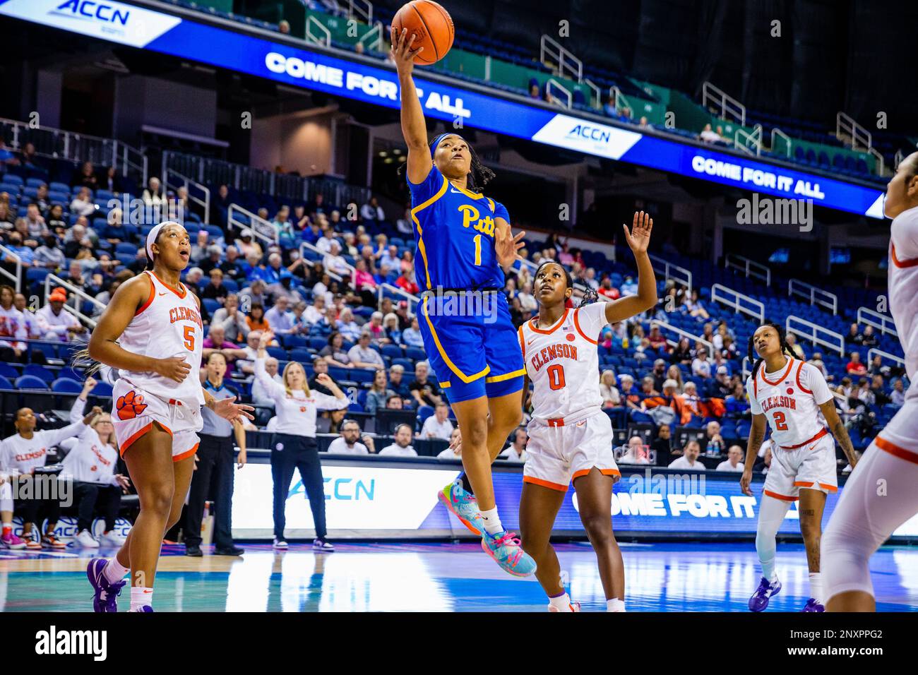 0 0001 hi-res stock photography and images - Alamy