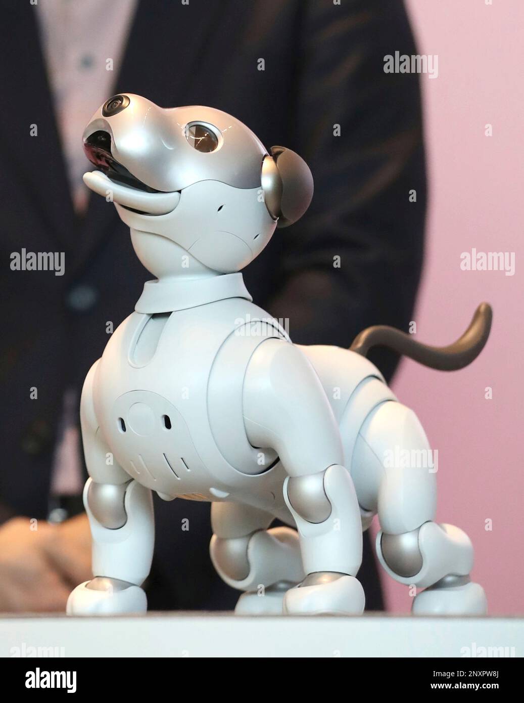Sony Corp.'s new doglike aibo appears during a special event at Sony's headquarters in Tokyo on ...