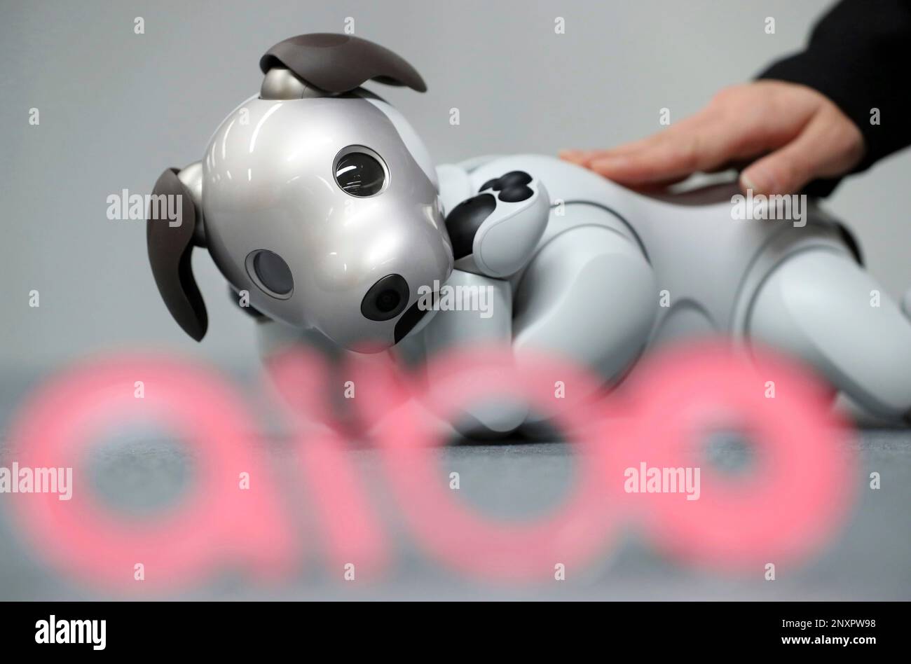 Sony Corp.'s new doglike aibo appears during a special event at Sony's headquarters in Tokyo on ...