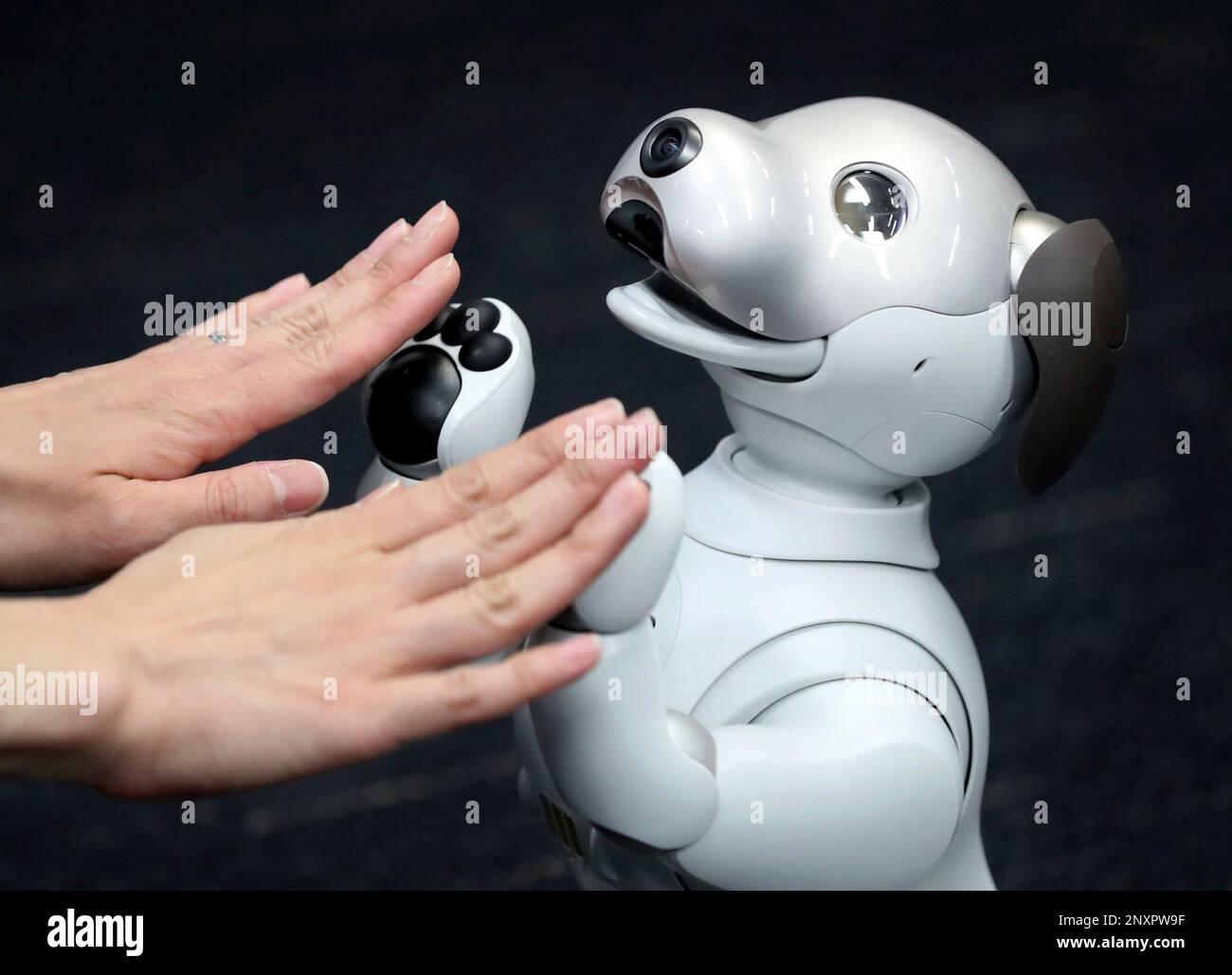 Sony Corp.'s new doglike aibo moves during a special event at Sony's headquarters in Tokyo on ...