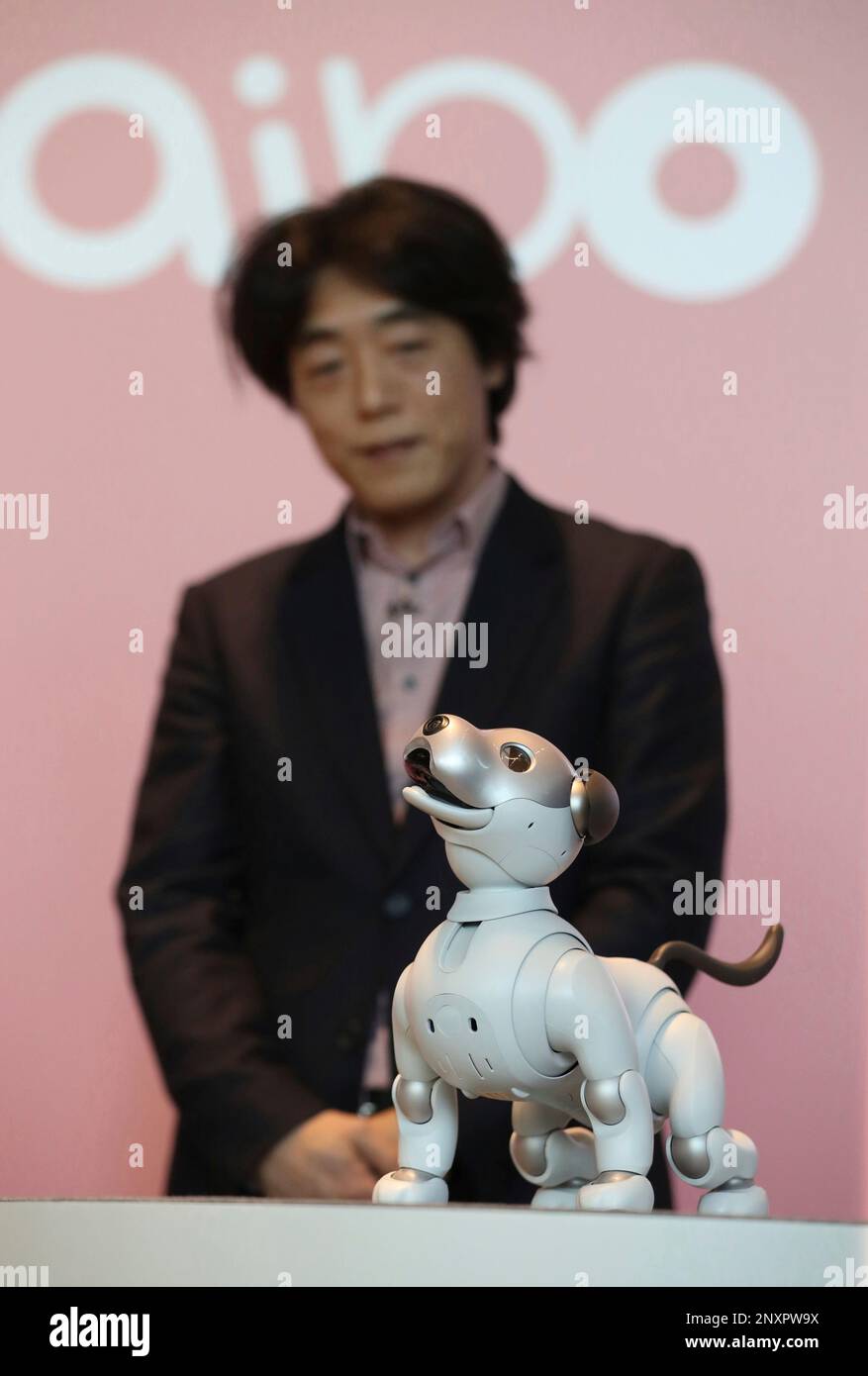 Senior General Manager, AI Robotics Business Group, Izumi Kawanishi(L) hands an aibo to a ...