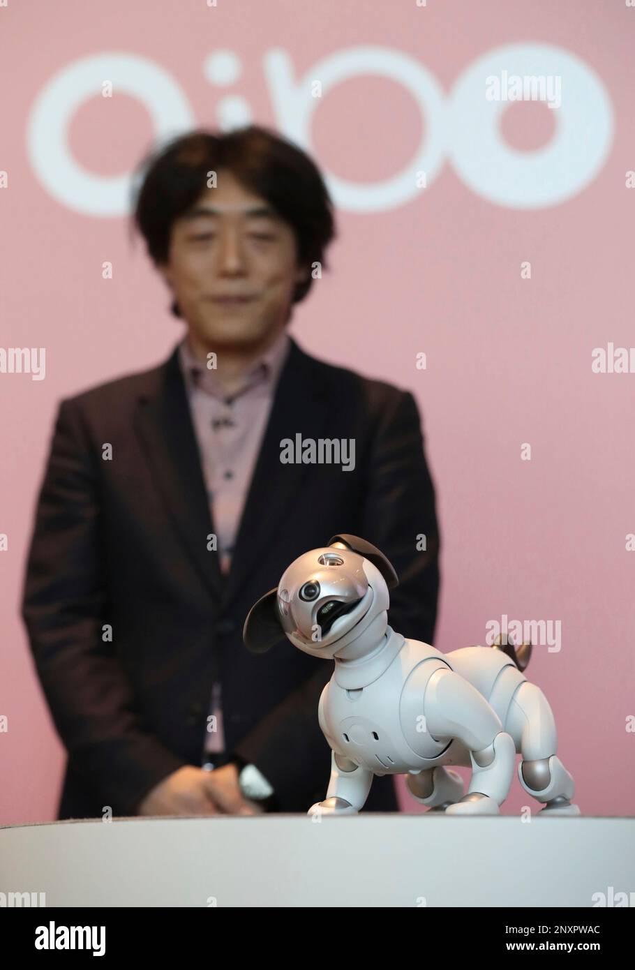 Senior General Manager, AI Robotics Business Group, Izumi Kawanishi(L) hands an aibo to a ...