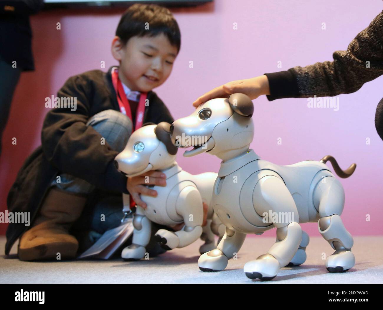 A boy plays with Sony Corp.'s new doglike aibo during a special event at Sony's headquarters in ...