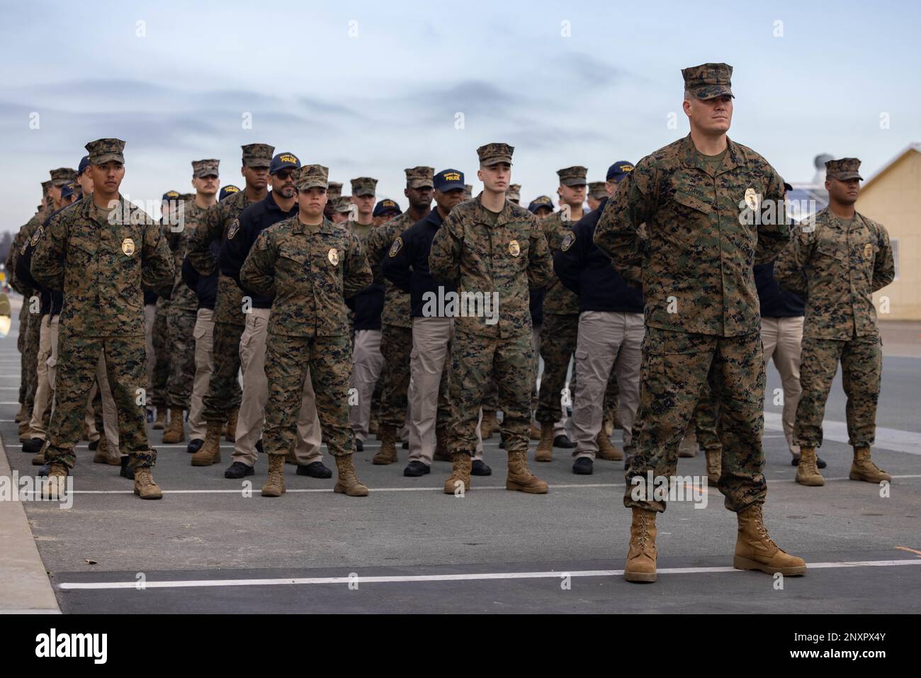 Marine corps pmo hi-res stock photography and images - Alamy