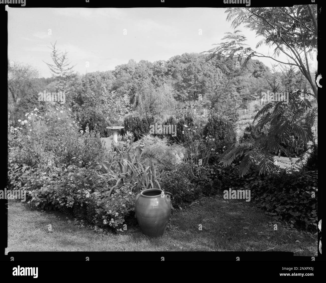 Montebello, Gordonsville, Orange County, Virginia. Carnegie Survey of ...