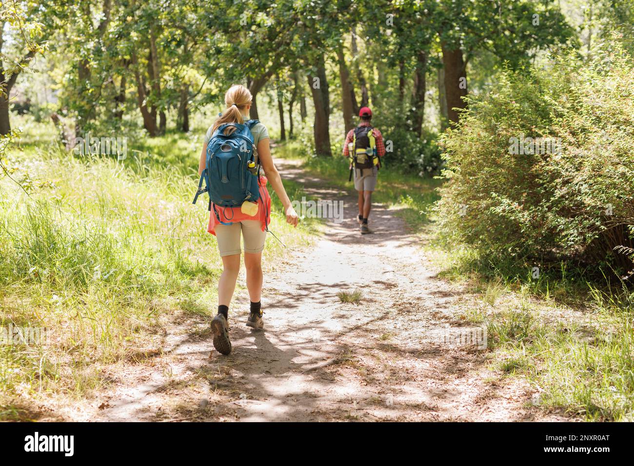 Rear view of diverse man and woman with backpacks walking on path in ...