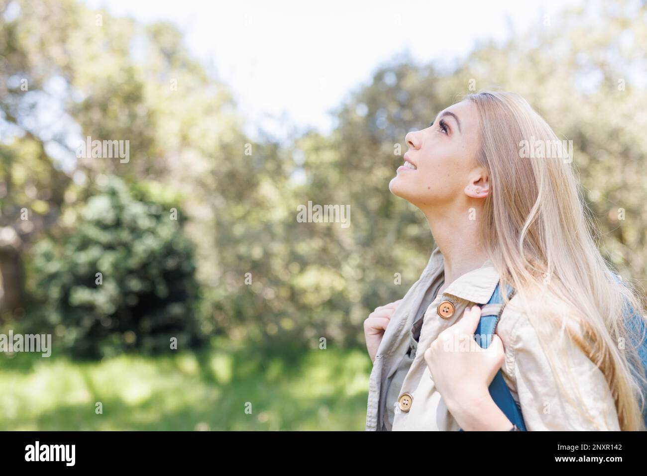 People treetop trekking hi-res stock photography and images - Alamy