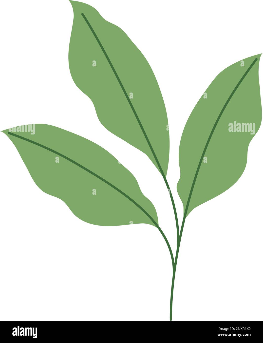 cute leaves design Stock Vector Image & Art - Alamy