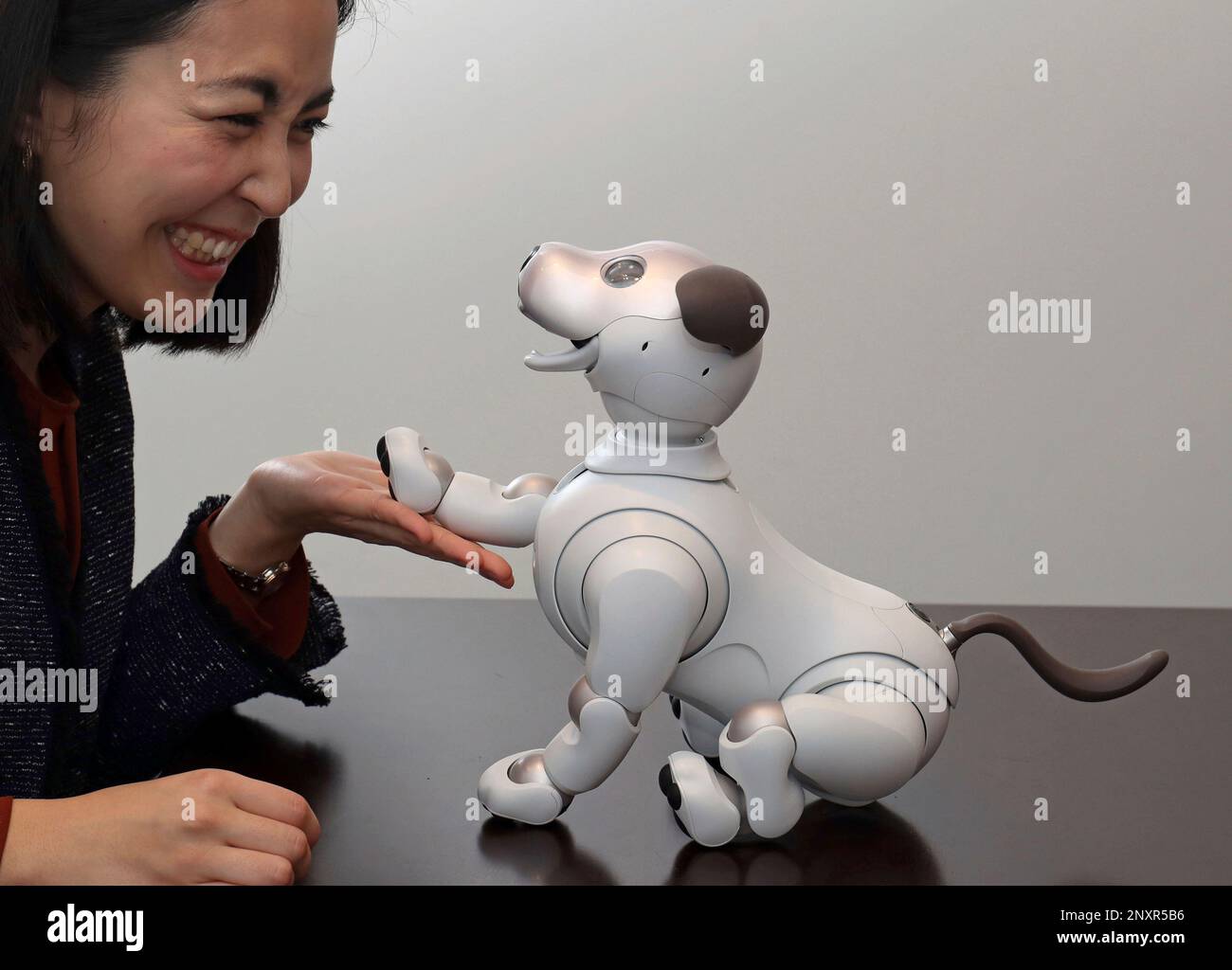 A woman plays with new Aibo in Tokyo on Dec.4, 2017. Sony Corp. ended the production of the ...