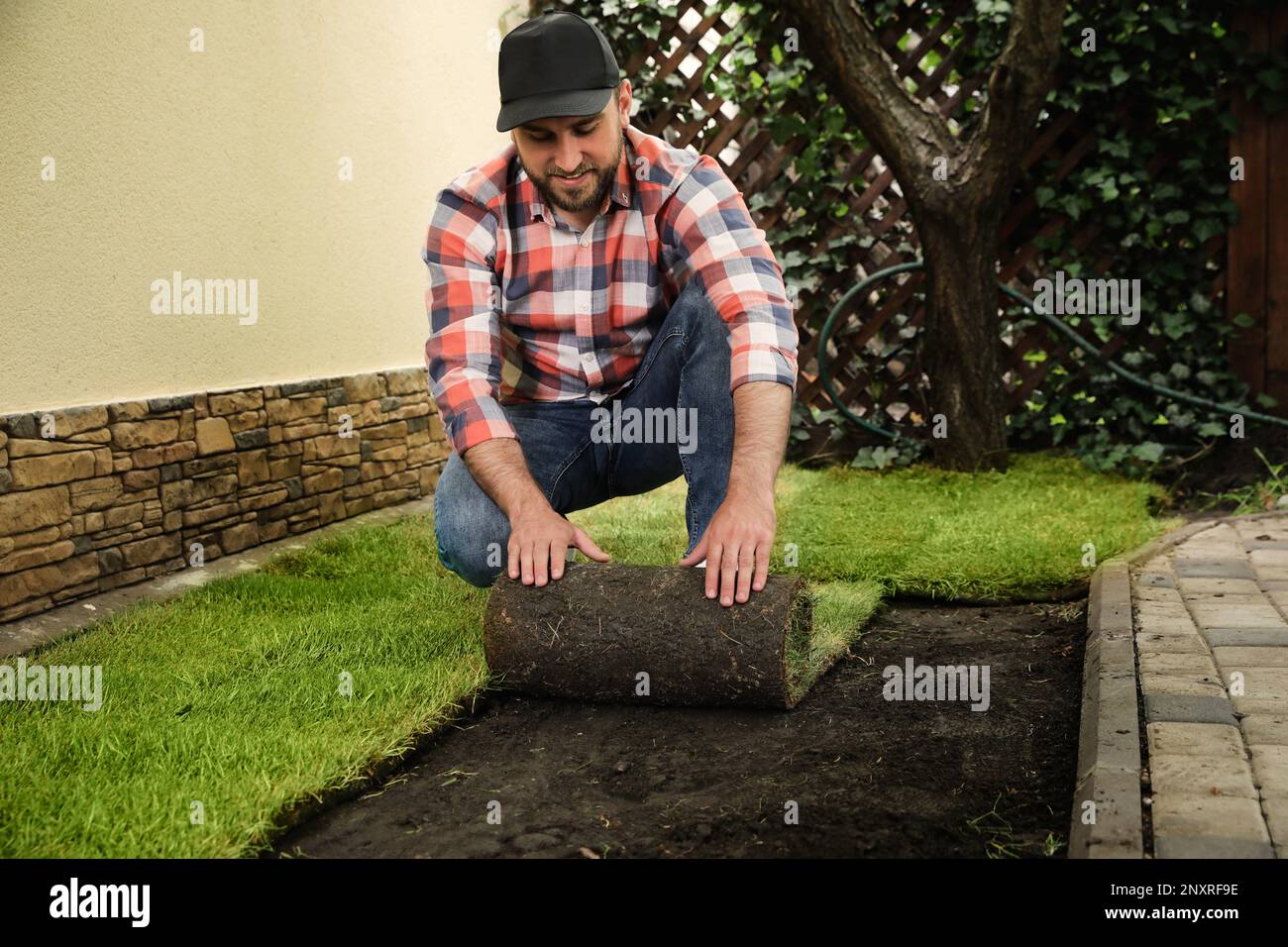 Young man laying grass sod on ground at backyard Stock Photo - Alamy