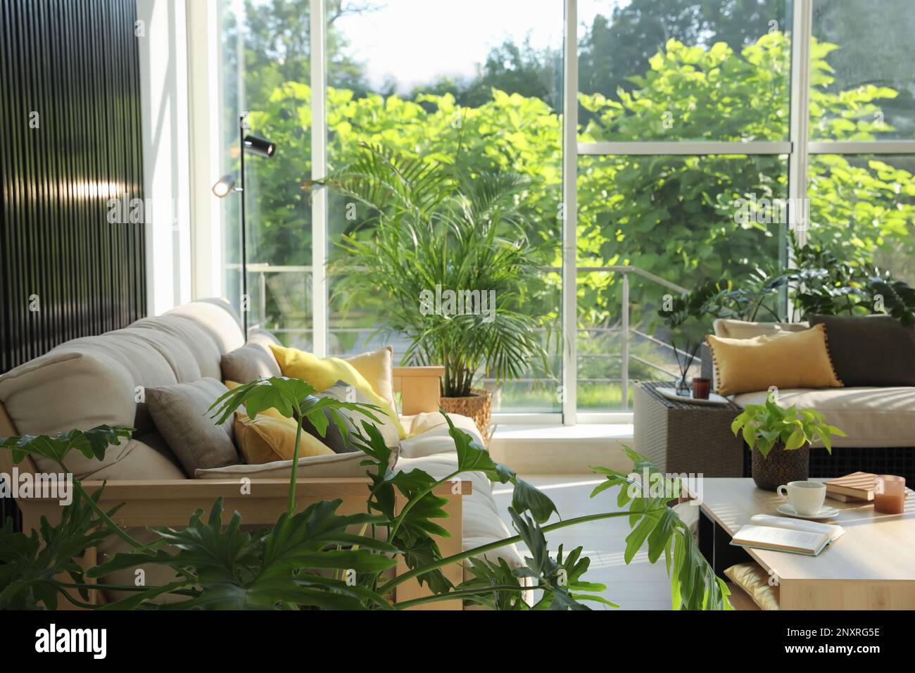 Indoor terrace interior with modern furniture and houseplants Stock ...