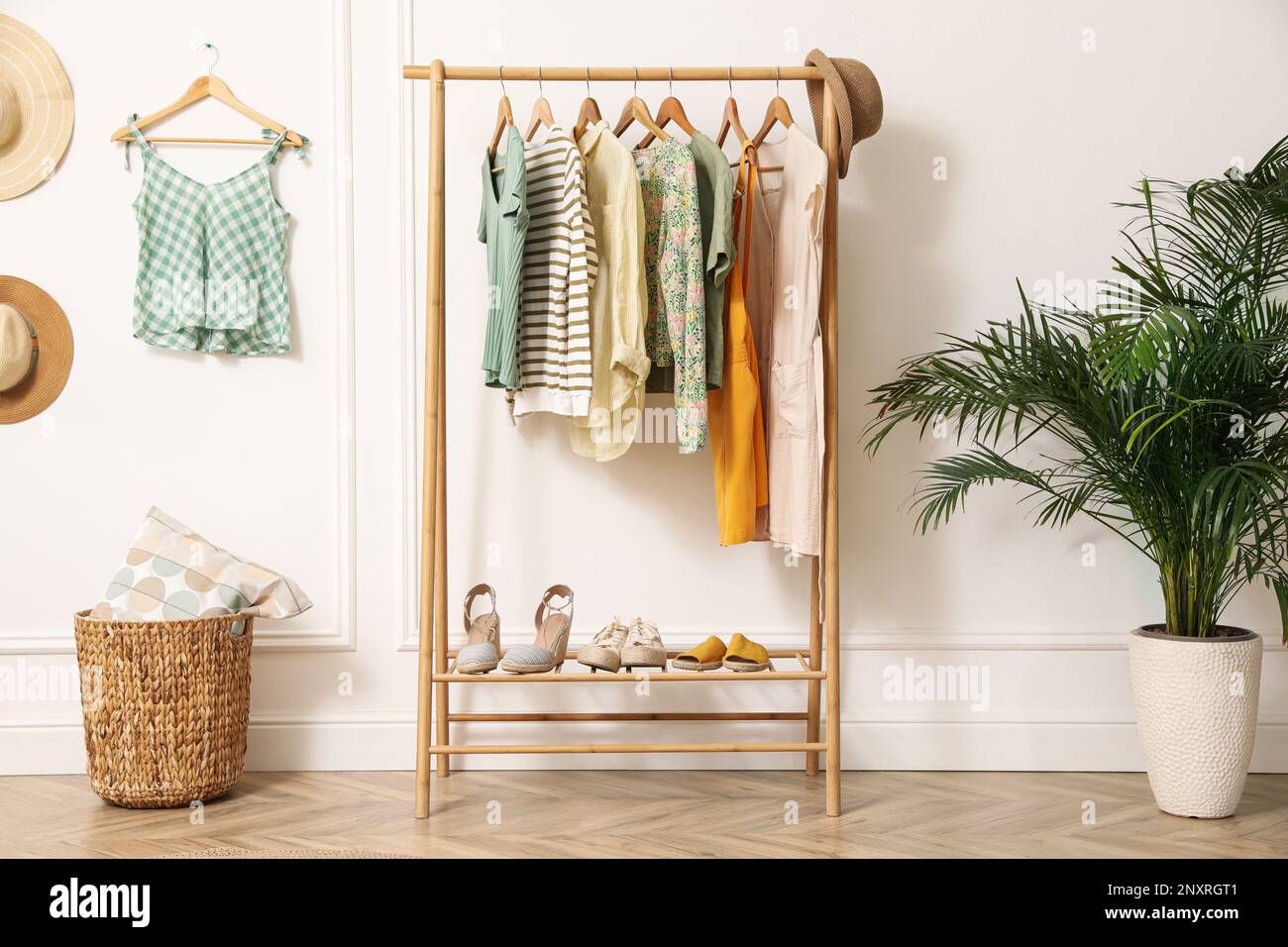 Modern room with clothes rack and houseplant. Interior design Stock ...