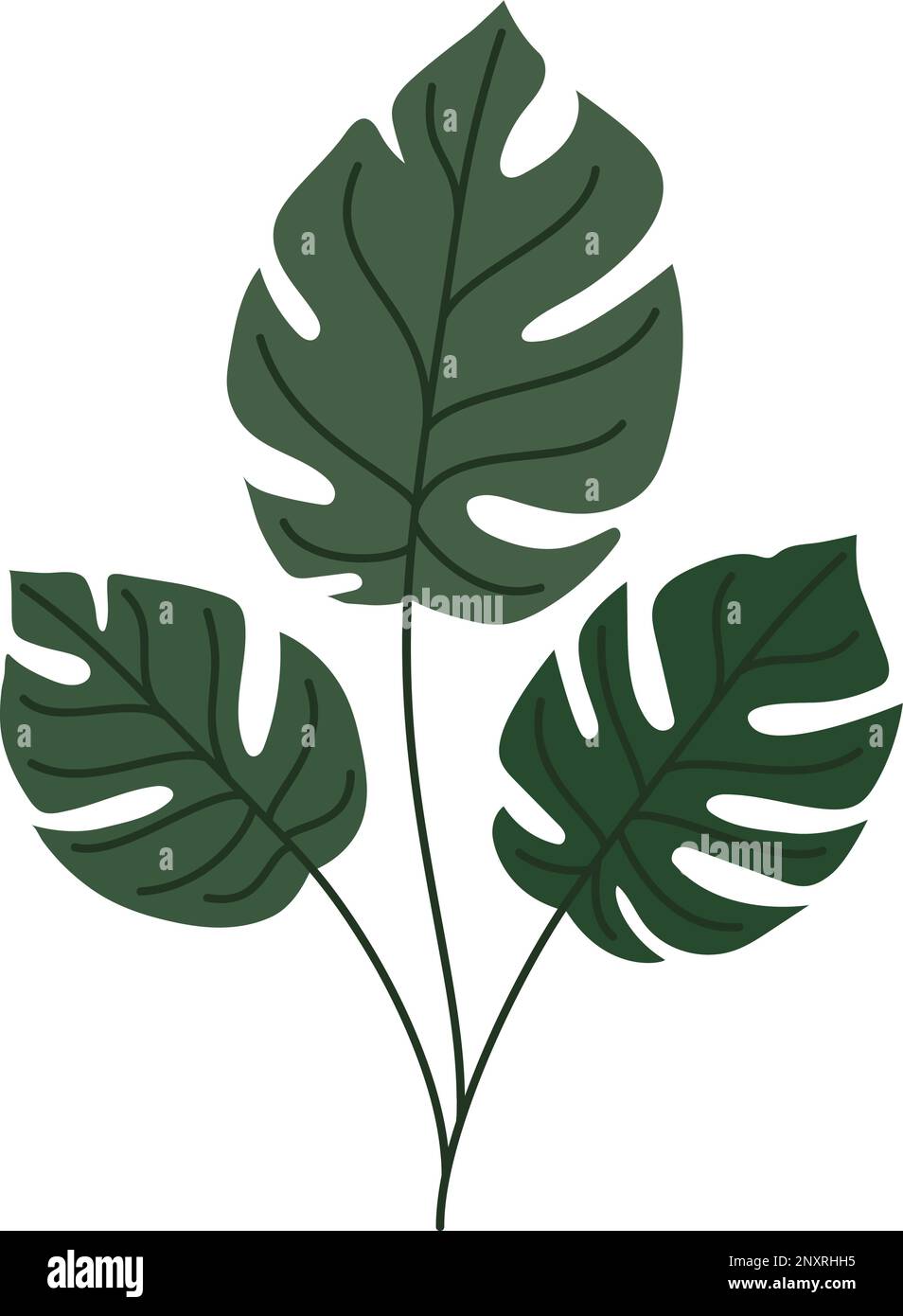 tropical leaves illustration Stock Vector Image & Art - Alamy