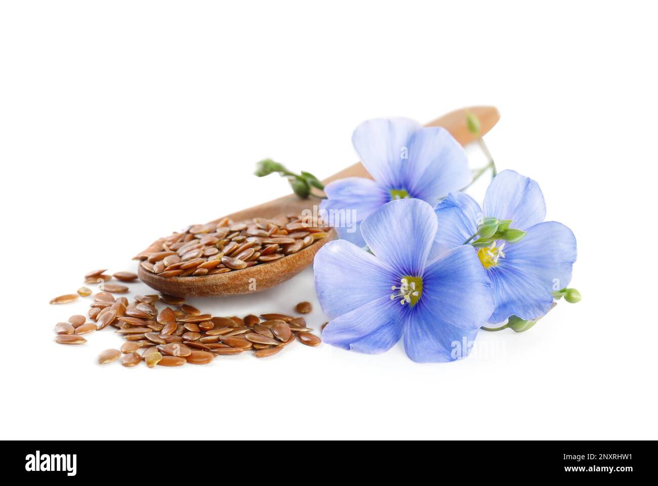 Flax flowers and seeds on white background Stock Photo - Alamy