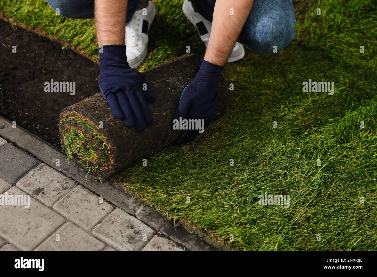 Person laying on the ground hi-res stock photography and images - Alamy