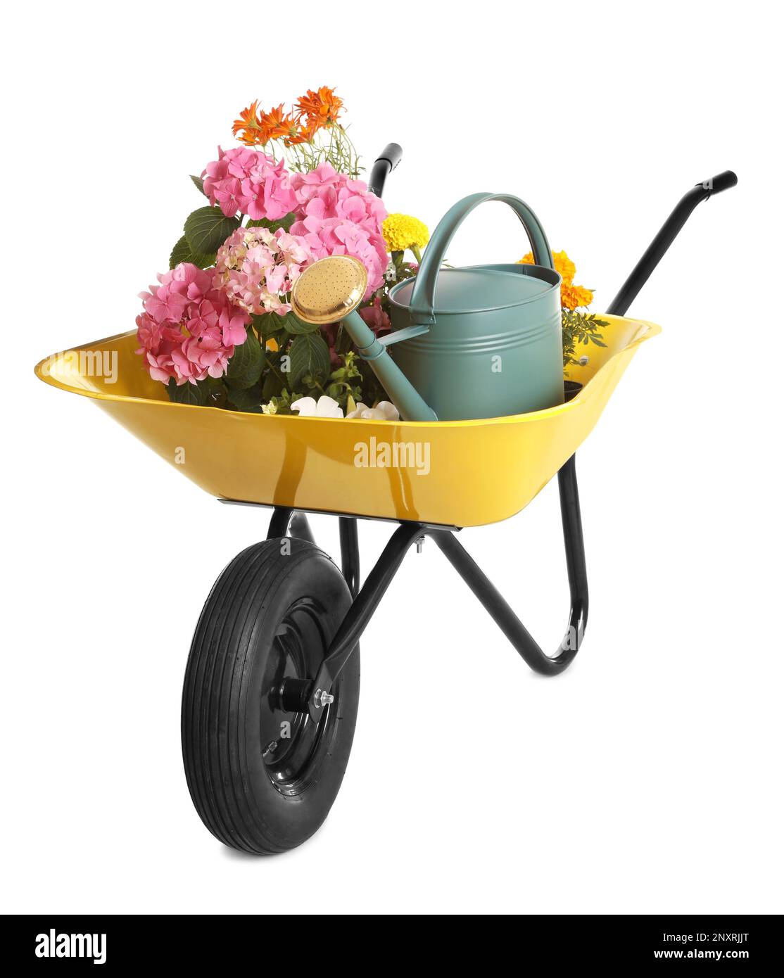 Yellow wheelbarrow with different flowers and gardening tools isolated ...