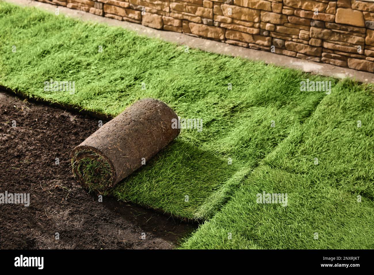 Laying grass sods at backyard. Home landscaping Stock Photo - Alamy