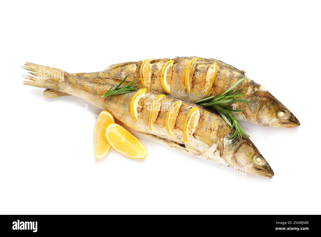 Tasty homemade roasted pike perches with rosemary and lemon on white ...