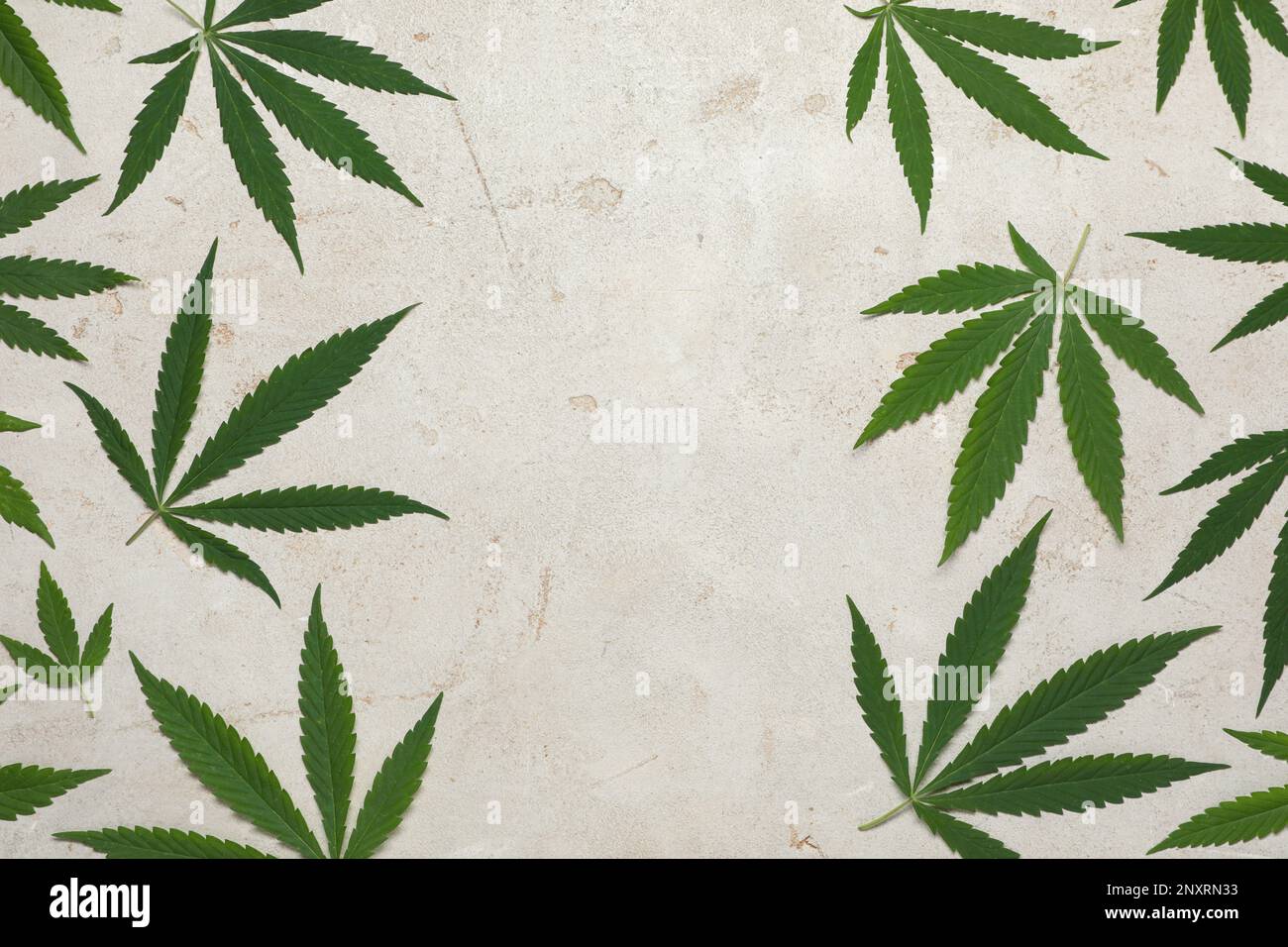Weed free border hi-res stock photography and images - Alamy