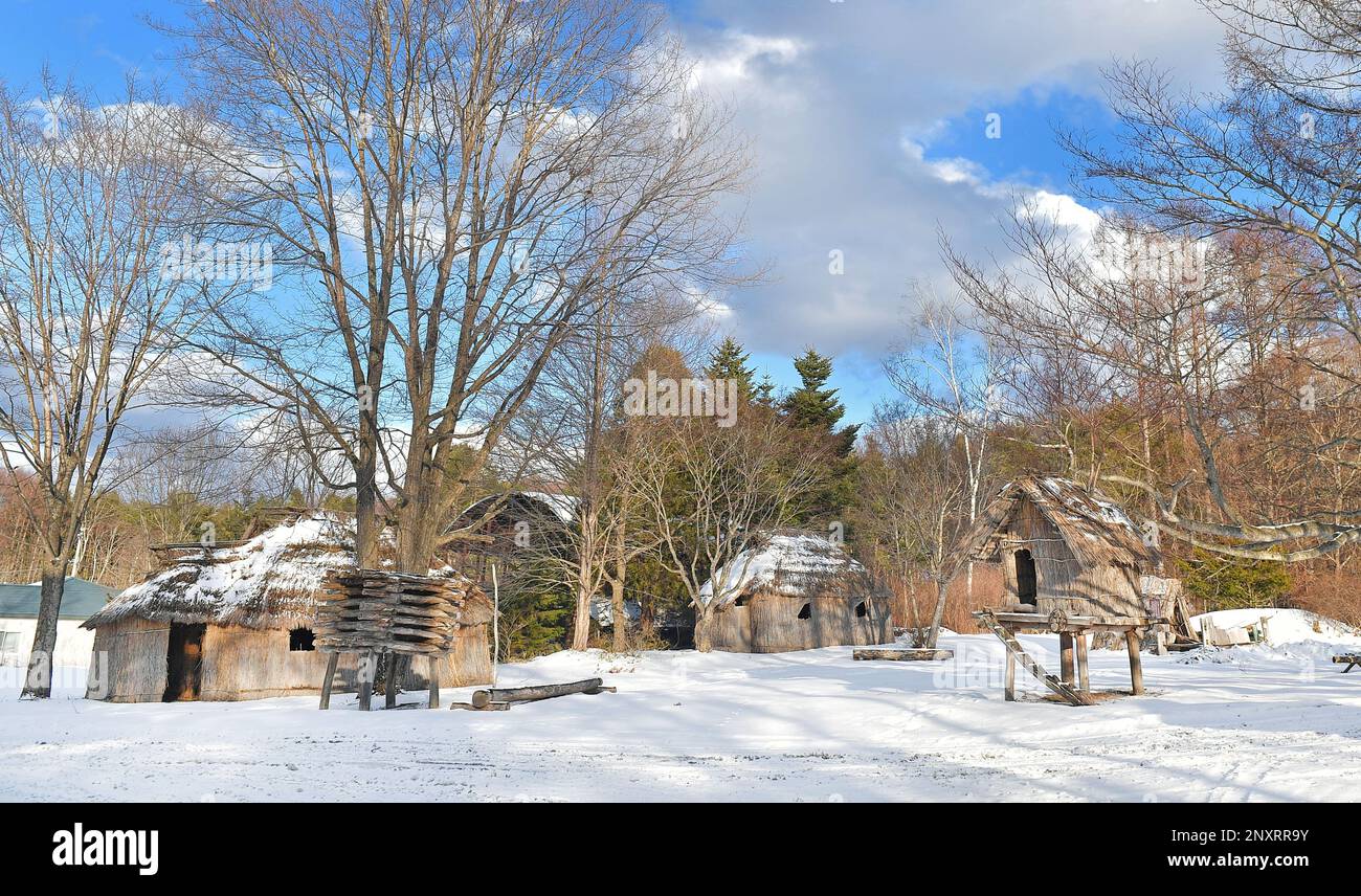 A picture taken on Dec, 2017 shows rebuilt Cise, traditional Ainu ...