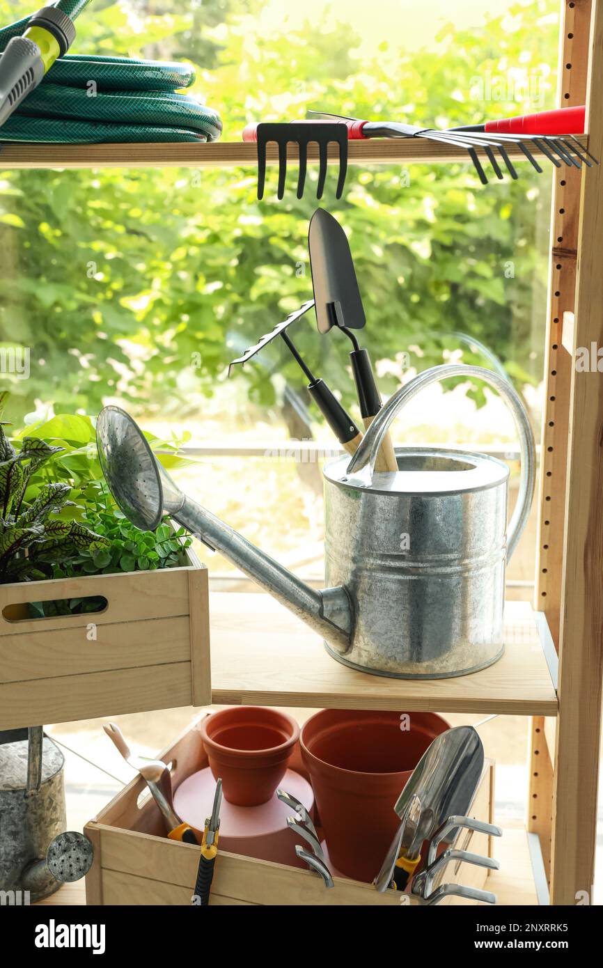 Beautiful plants and gardening tools on rack indoors Stock Photo - Alamy