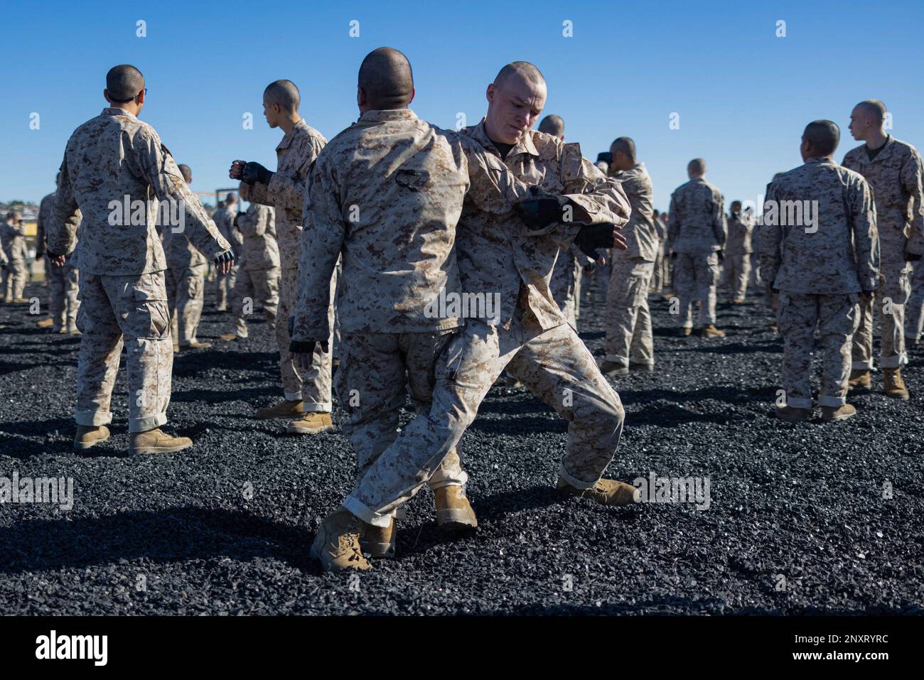 U.S. Marine Corps recruits with Alpha Company, 1st Recruit Training ...