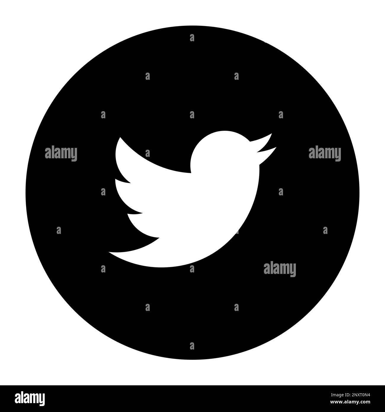 Twitter social media app icon. Black silhouete circle shape vector ...