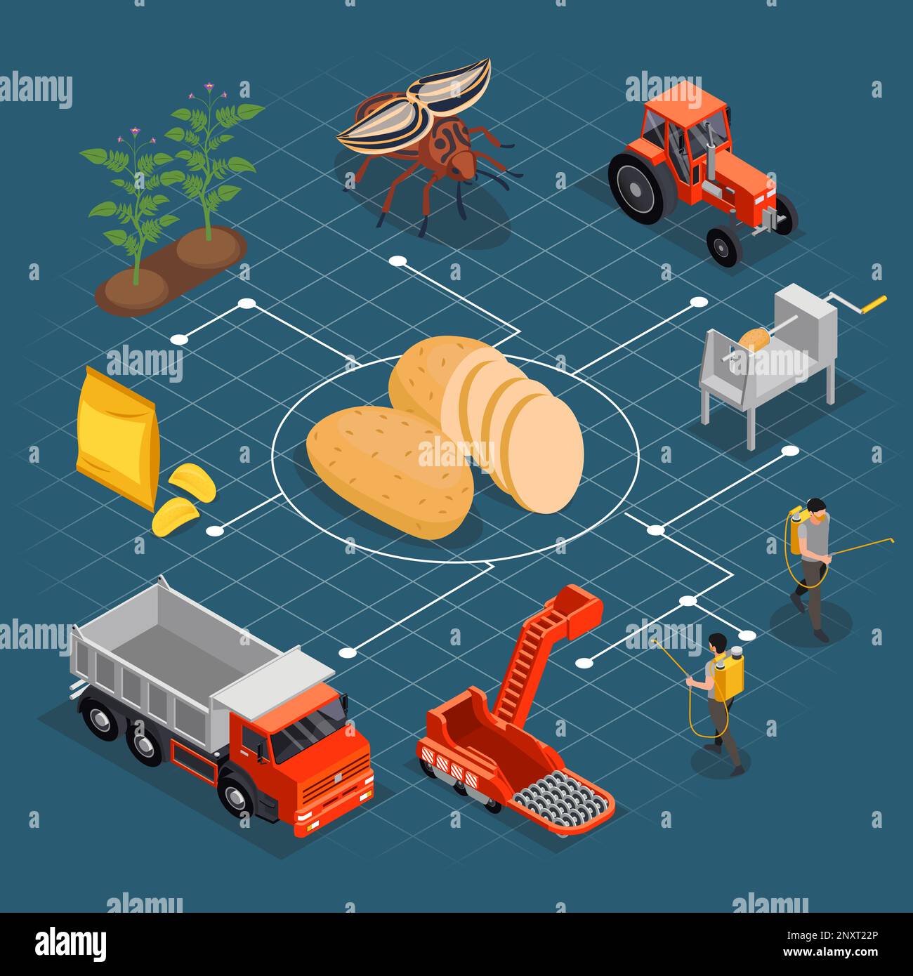 Potato chips production isometric composition with flowchart of ...