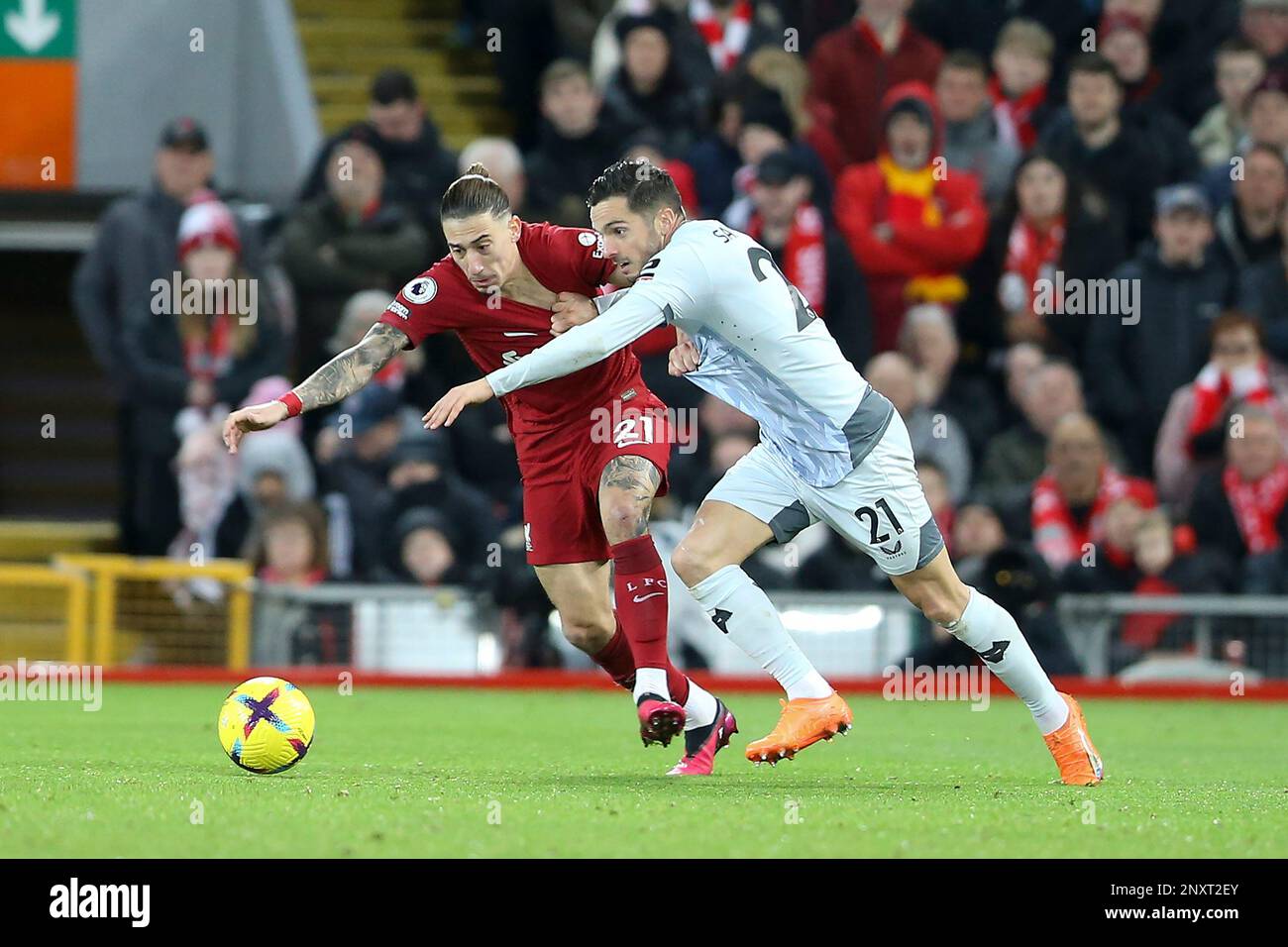 Pablo sarabia wolves hi-res stock photography and images - Alamy