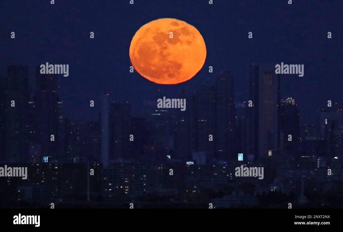 The full moon rises behind the buildings in Shinjuku Ward, Tokyo on Jan ...