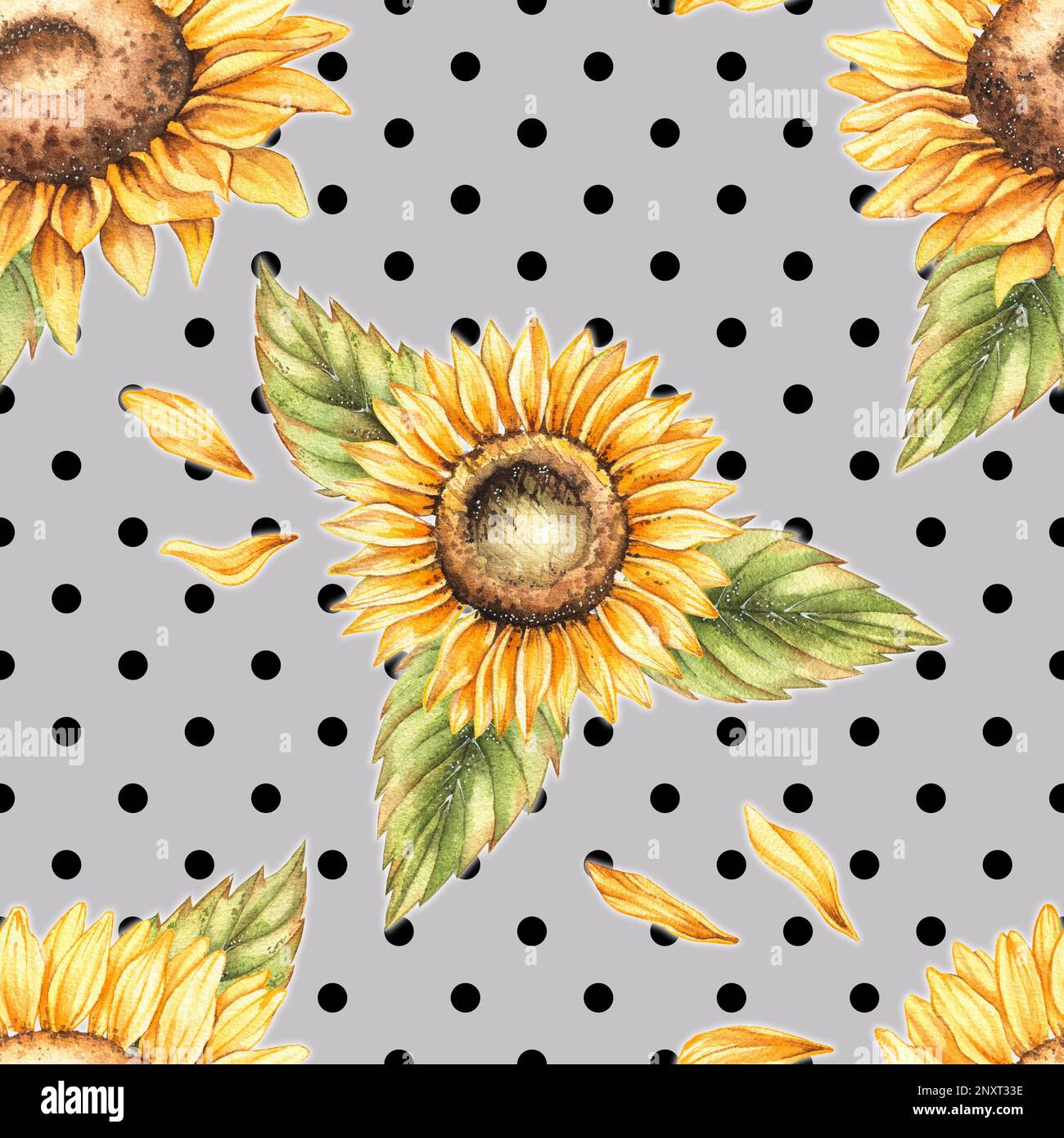 Watercolor pattern with sunflowers and dots on a gray background ...