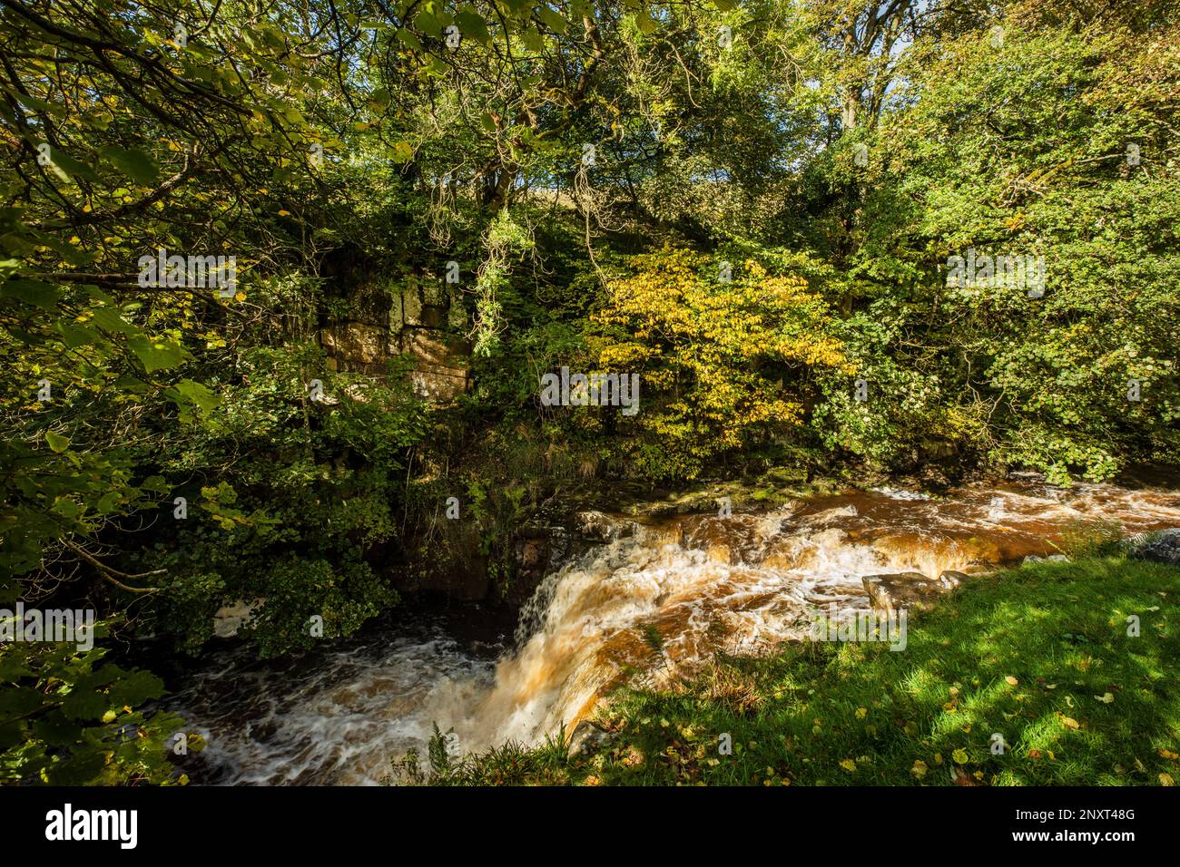 River Nent between Alston and Nenthead, Cumbria Stock Photo - Alamy
