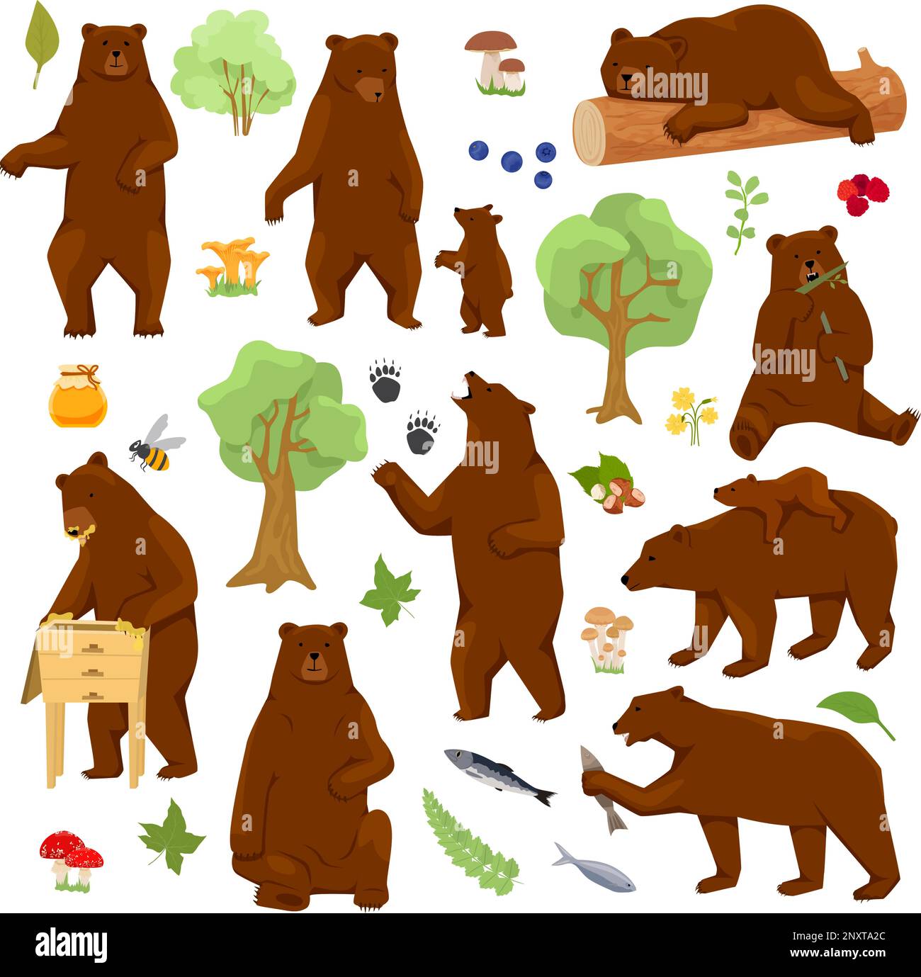 Grizzly bears flat set with isolated images of forest and cartoon style bears behaving like ...