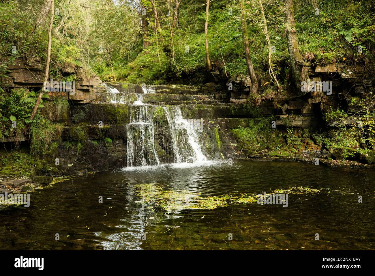 Waterfall at on Ash Gill, a tributary of the River South Tyne, at ...