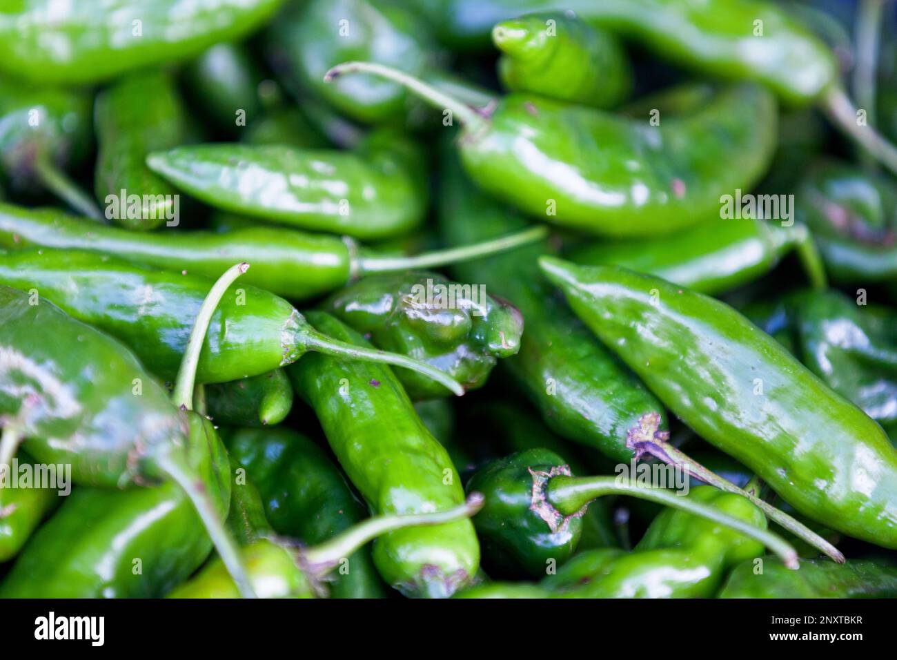 Spicier hi-res stock photography and images - Alamy
