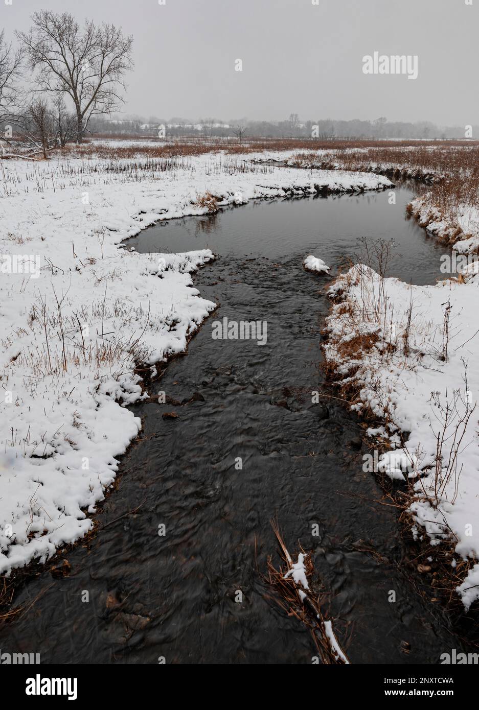 Rock Run, a small creek that eventually flows into the DuPage River ...