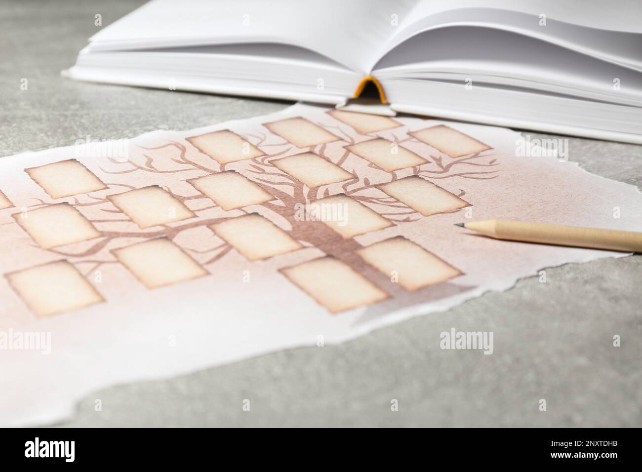 Tree notebook hi-res stock photography and images - Alamy