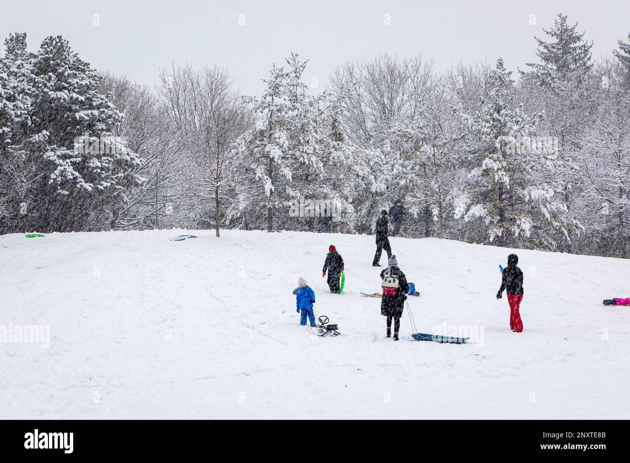 Active children sledding and tobogganing in the snow Stock Photo - Alamy