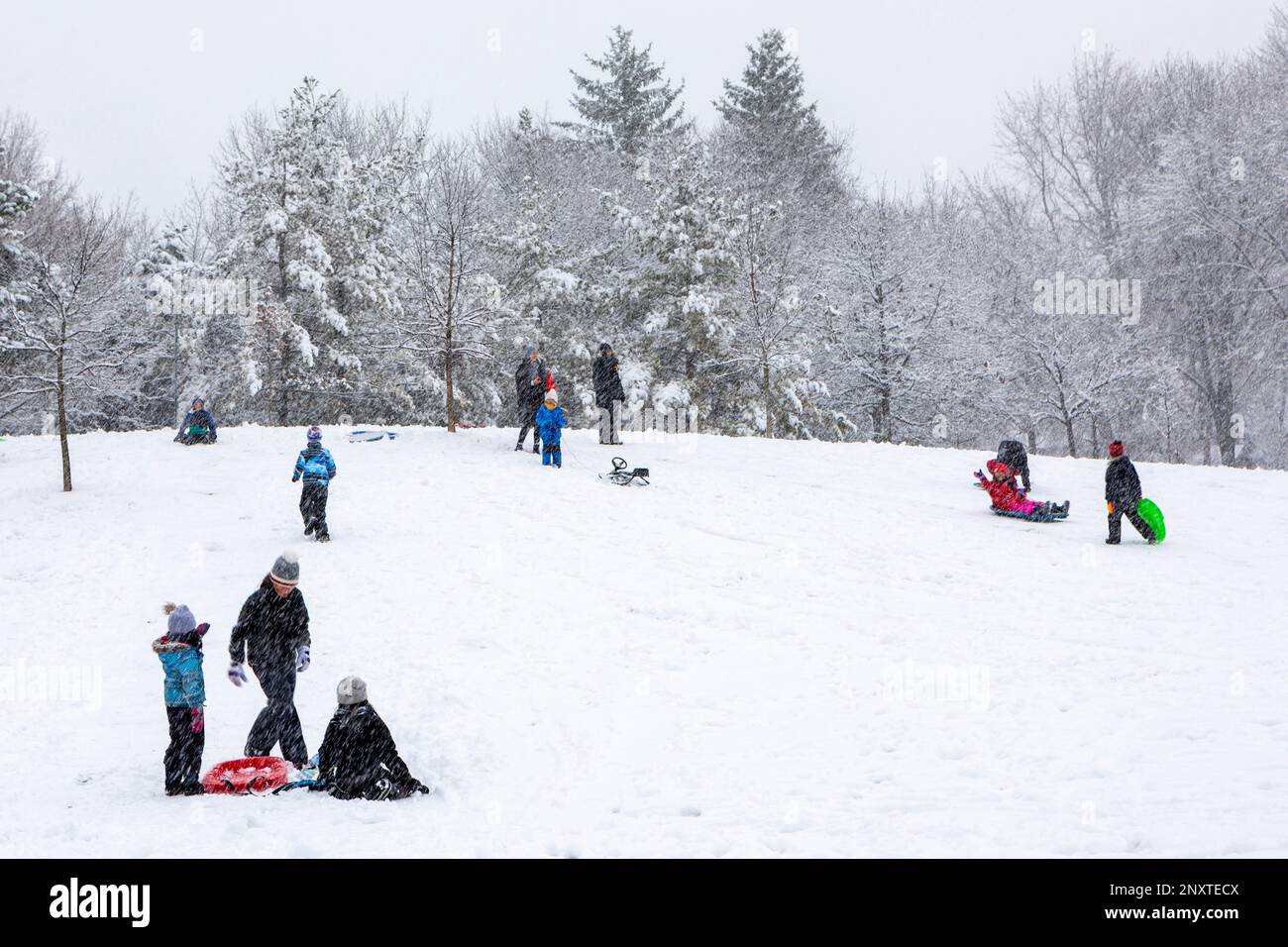 Active children sledding and tobogganing in the snow Stock Photo - Alamy